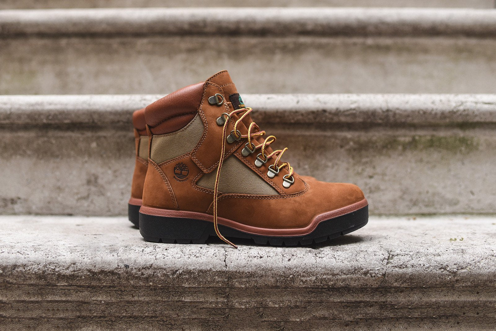 Timberland Field Boot 6" WP Pack – Kith Europe